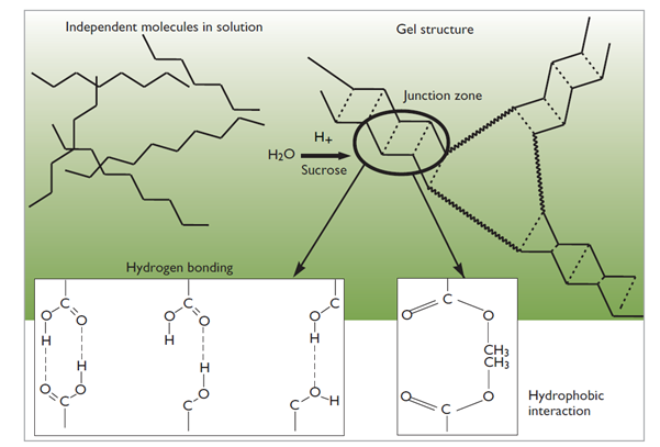 pectin structure diagram