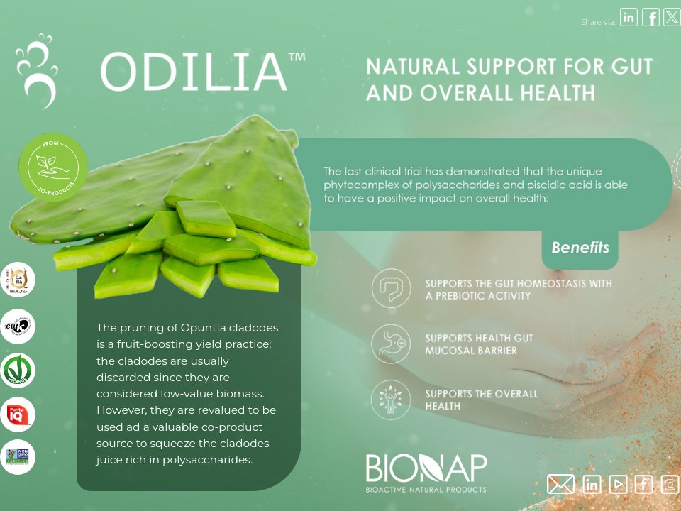 Bionap - AgroFOOD Industry Hi Tech 35(2) 2024