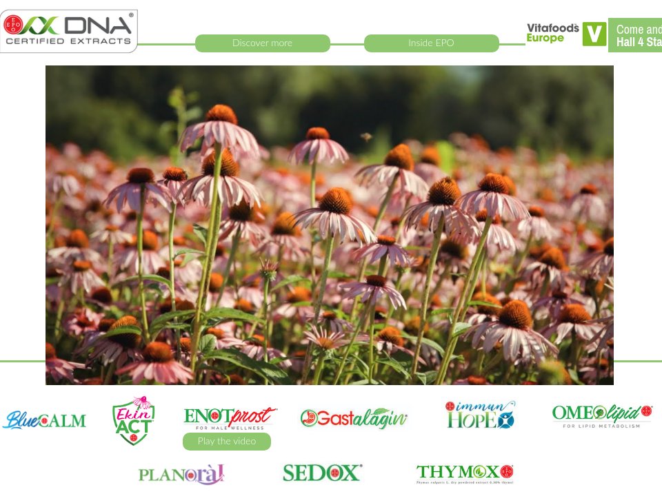 EPO Srl - AgroFOOD Industry Hi Tech 36 (1) 2025