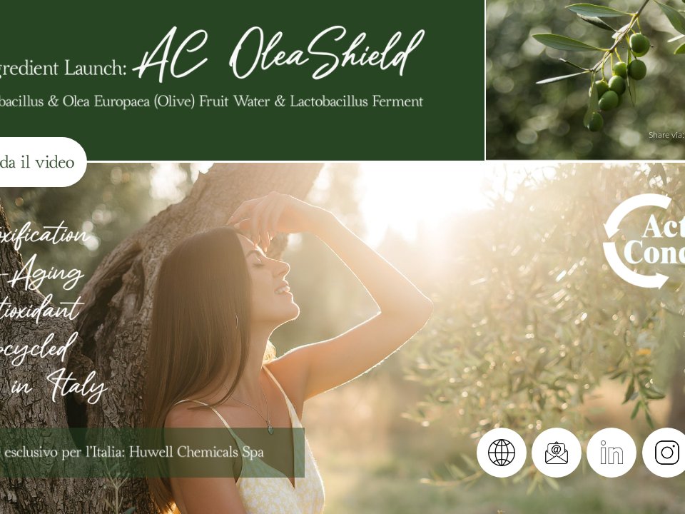 Active Concepts - BEAUTY HORIZONS 2 2023 ITA