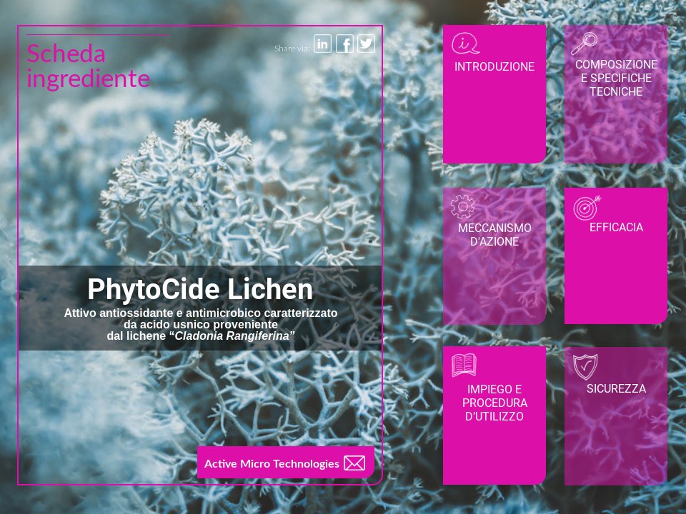 Active Micro Technologies - PhytoCide Lichen - Scheda ingrediente ...