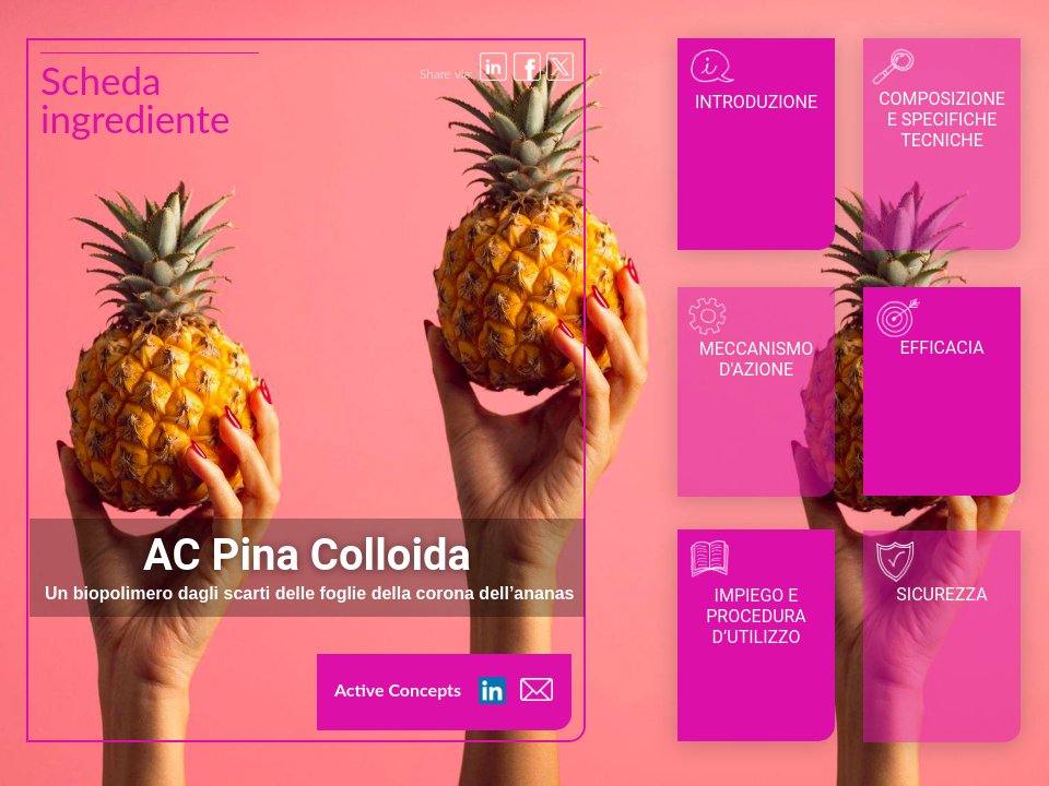 Active Concepts – AC Pina Colloida - Scheda ingrediente - BEAUTY HORIZONS 3 2024 ITA