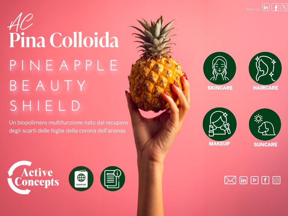 Active Concepts - BEAUTY HORIZONS 4 2024 ITA