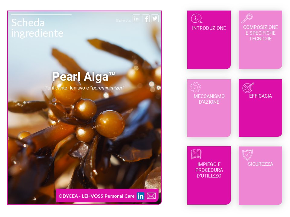 ODYCEA / LEHVOSS Personal Care - Pearl Alga™ - Scheda ingrediente ...